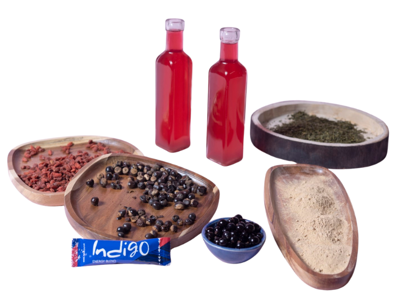 indigoisrael.com – טעם חדש של משקה אנרגיה